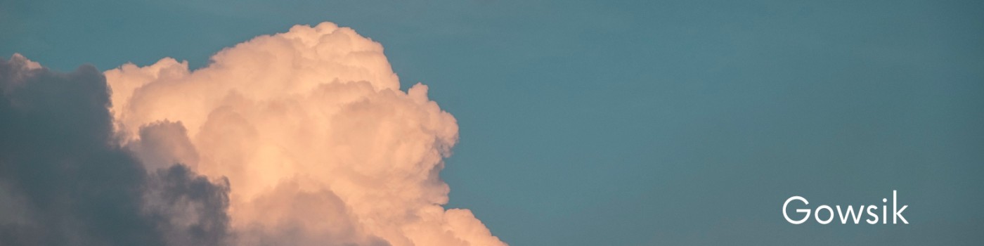 Gowsik | Gowsik - blog